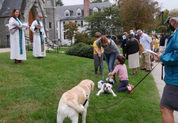 Blessing of the Animals 01 | Grace Episcopal Church, Amherst MA